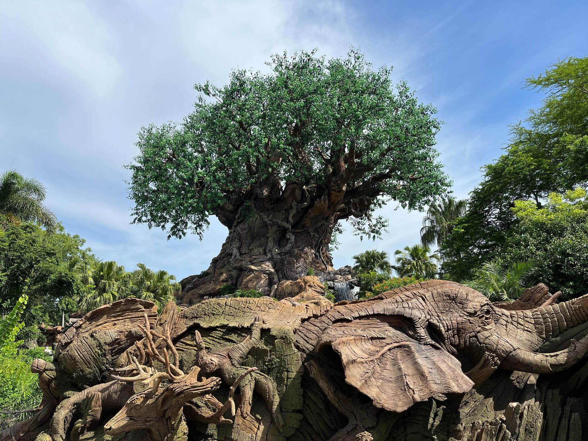 The Complete Guide to Disney’s Animal Kingdom - I Could Show You the World