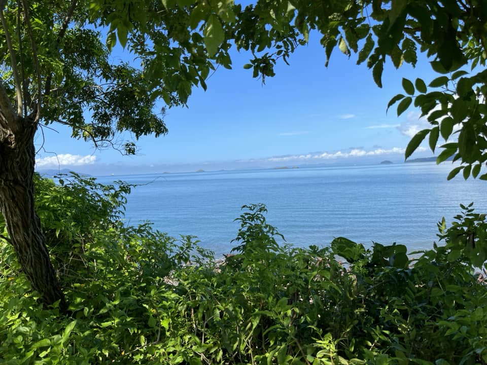 What to See at Panama's Punta Culebra Nature Center - I Could Show You ...